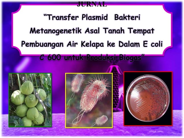 Mekanisme Transfer & Isolasi DNA | PPTX