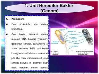 Mekanisme Transfer & Isolasi DNA | PPT