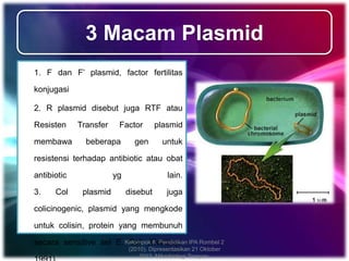 Mekanisme Transfer & Isolasi DNA | PPTX