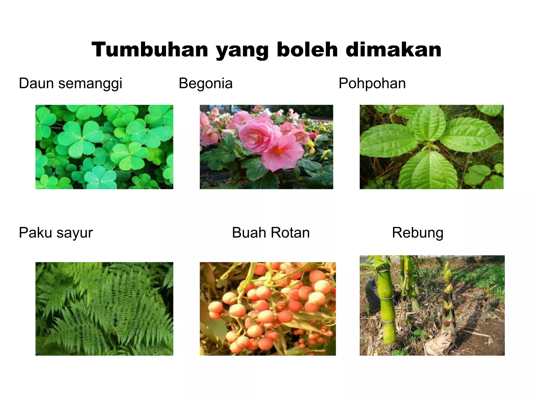 IKHTIAR HIDUP | PPTX