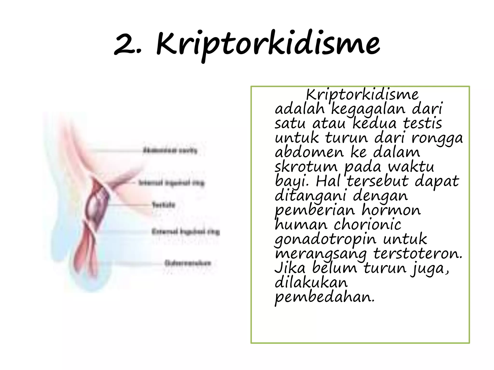 Kelainan dan penyakit pada sistem reproduksi | PPTX