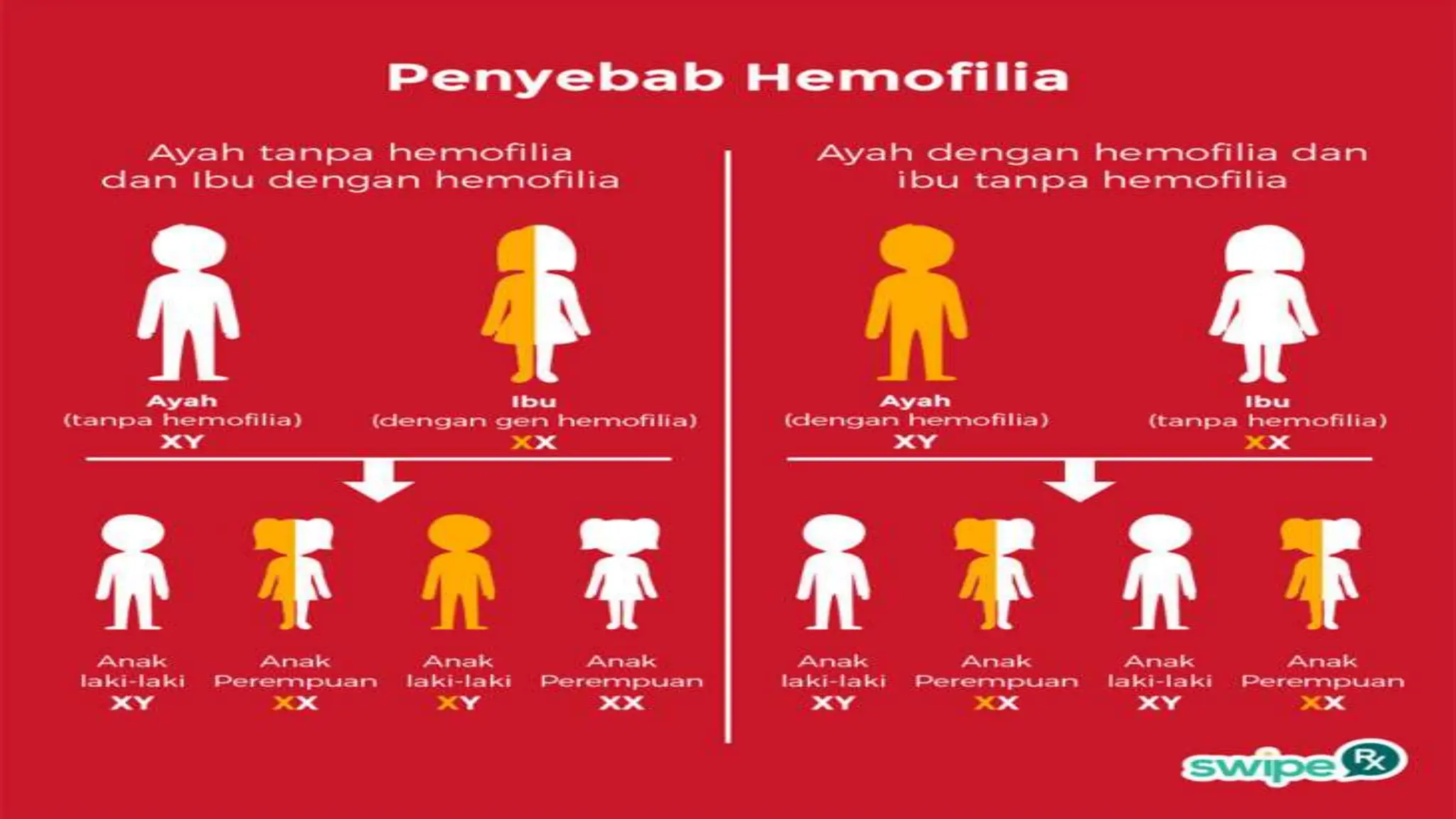 KELAINAN GENETIK PADA MANUSIA (PEWARISAN SIFAT) | PPTX