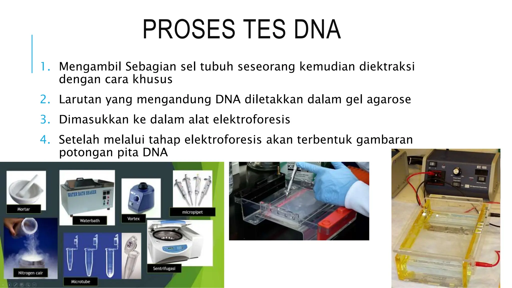 KELAINAN GENETIK PADA MANUSIA (PEWARISAN SIFAT) | PPTX
