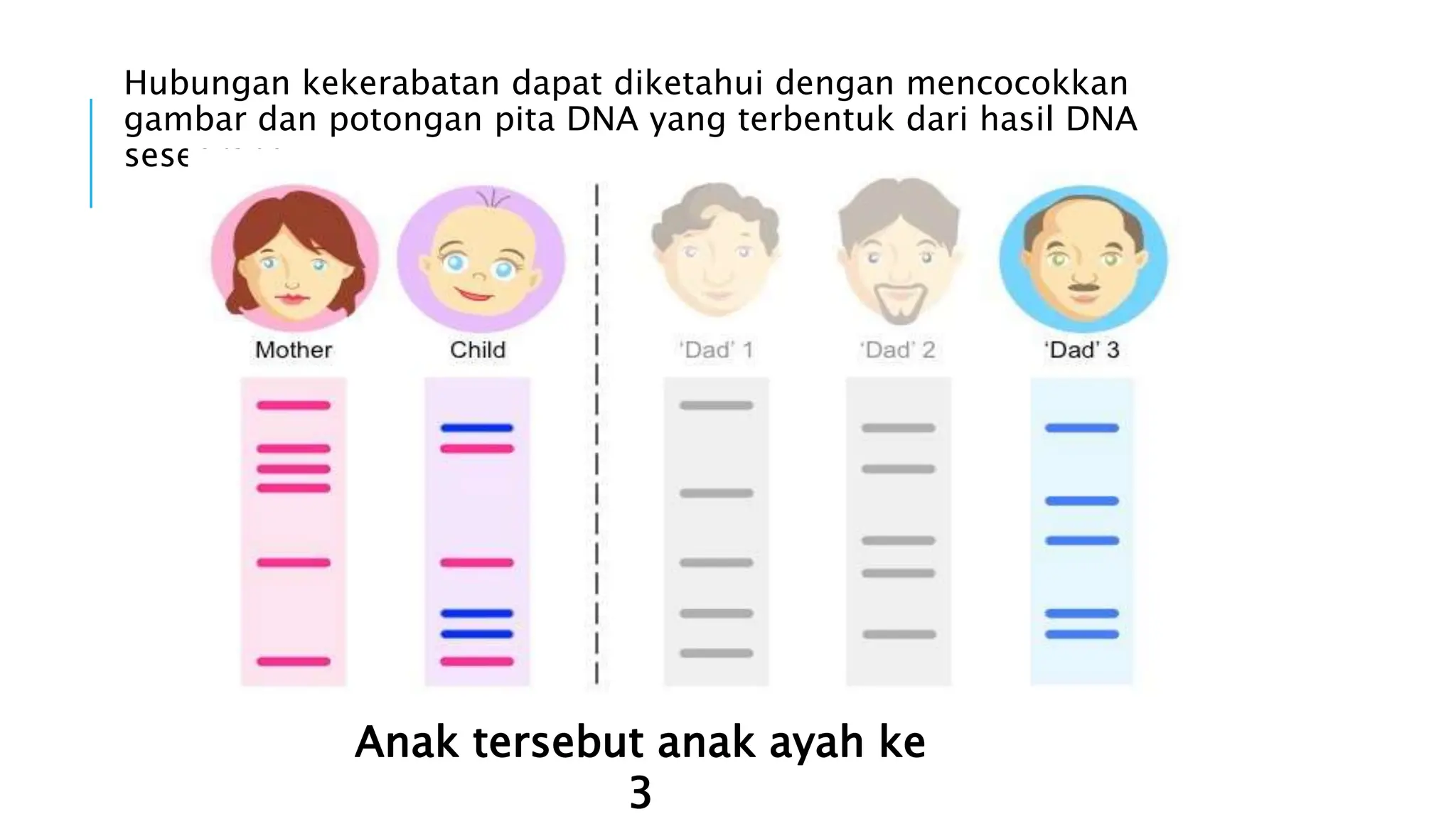 KELAINAN GENETIK PADA MANUSIA (PEWARISAN SIFAT) | PPTX