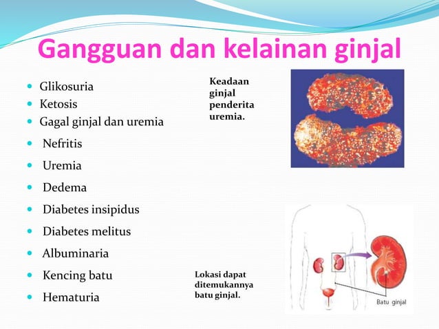 Kelainan pada respirasi & ekskresi kel iv | PPTX