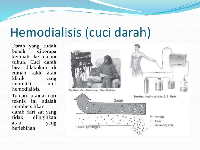 Kelainan pada respirasi & ekskresi kel iv | PPTX