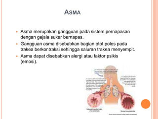 Kelainan & penyakit sistem pernapasan | PPTX