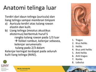 mater kuliah tentang KELAINAN TELINGA LUAR | PPTX
