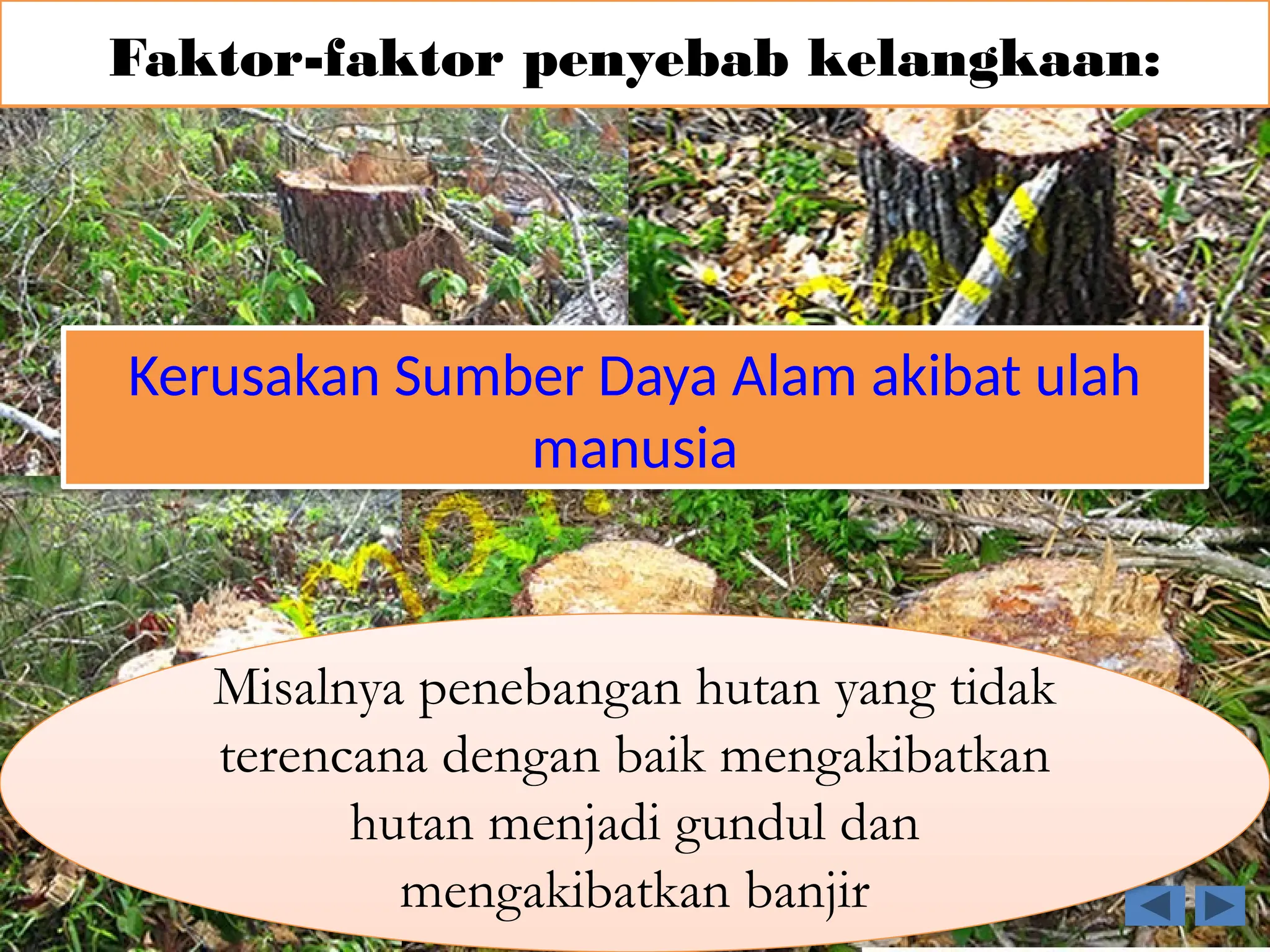 kelangkaan-141013024323-MATERI AJAR EKONOMI.pptx