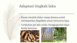 Kelangsungan hidup makhluk hidup | PPT