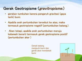 Kelas 8-gerak-tumbuhan | PPT