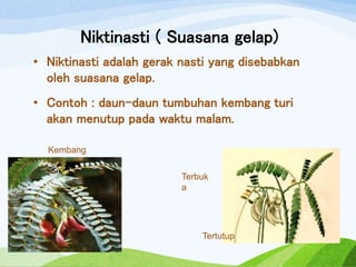 Kelas 8-gerak-tumbuhan | PPT