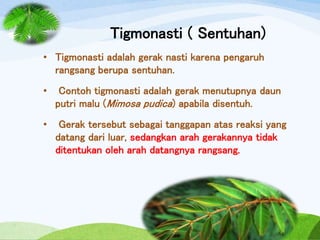 Kelas 8-gerak-tumbuhan | PPT