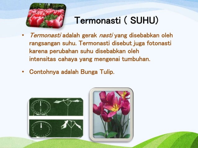 Kelas 8-gerak-tumbuhan | PPT