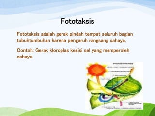 Kelas 8-gerak-tumbuhan | PPT