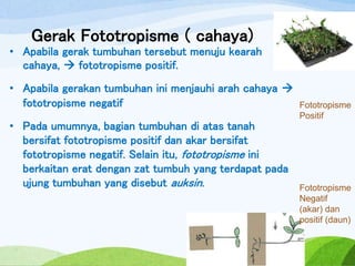Kelas 8-gerak-tumbuhan | PPT