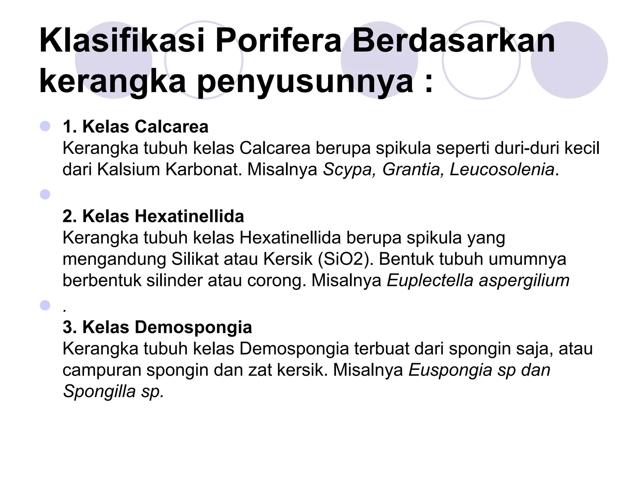 Kelas calcarea | PPT
