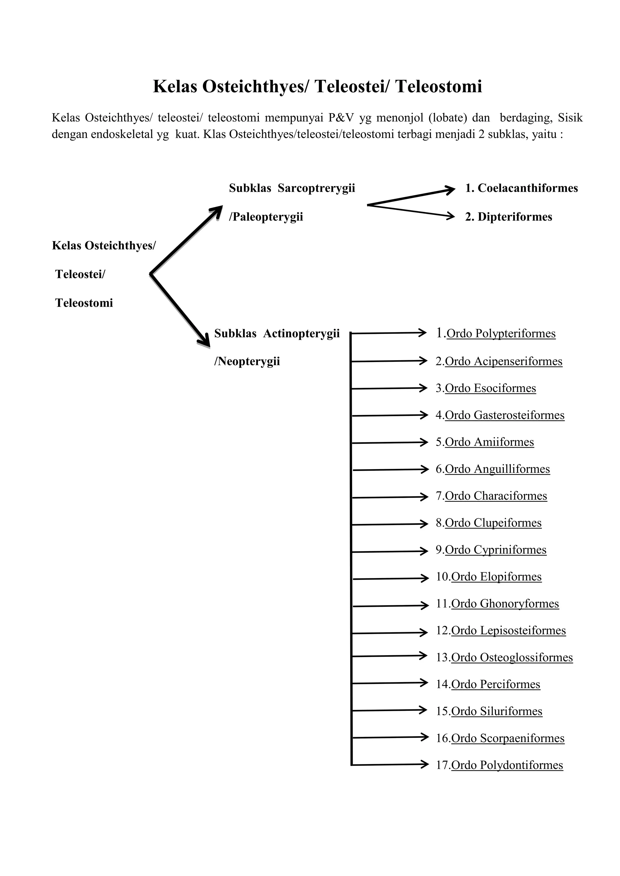 Kelas ikan-osteichthyes1 | DOCX
