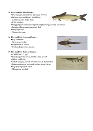 Kelas ikan-osteichthyes1 | DOCX