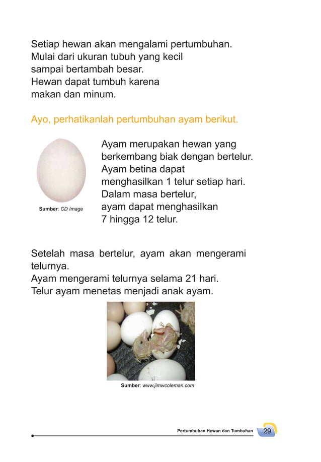 materi IPA kelas 2 MI | PDF