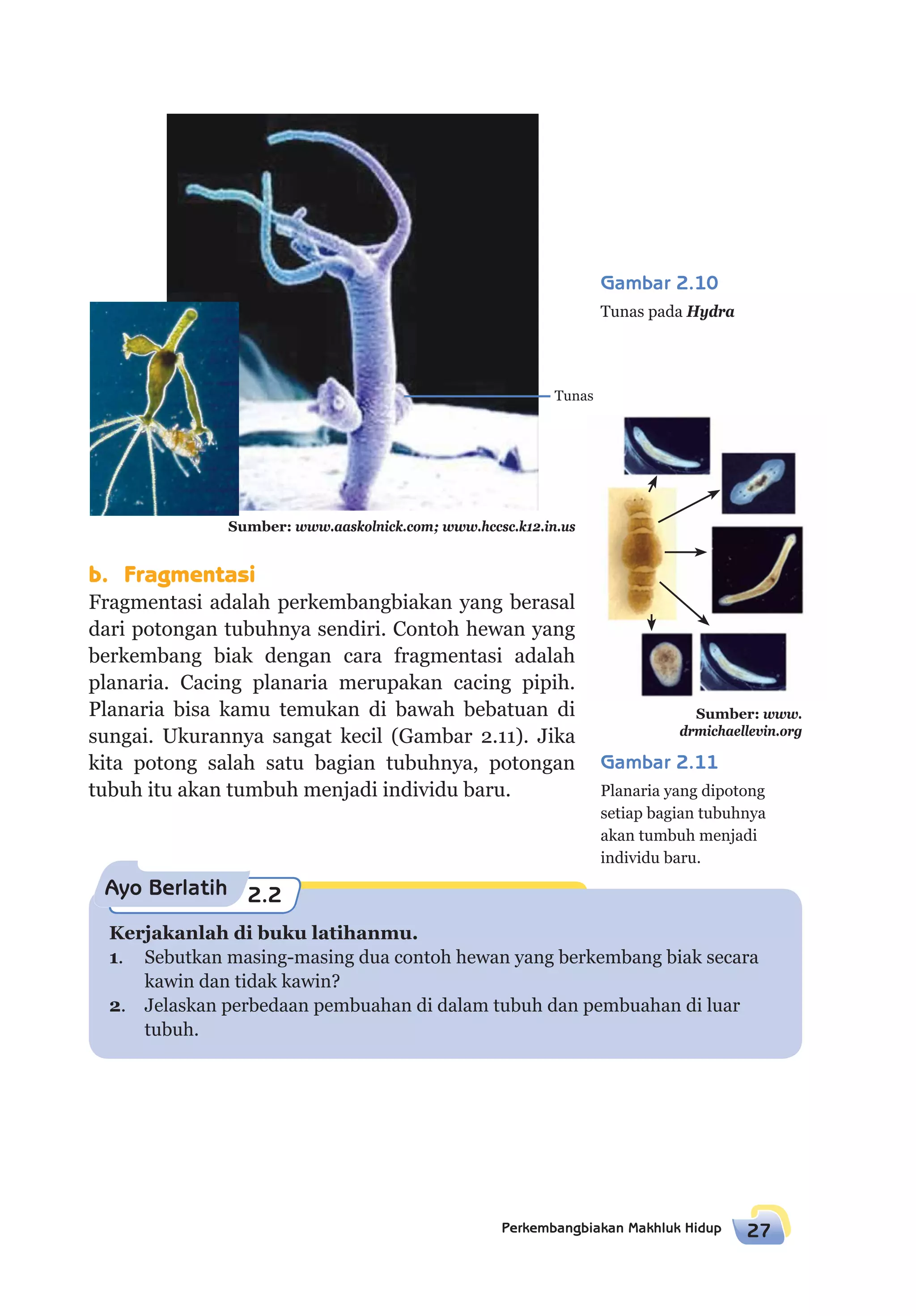 Kelas06 senang belajar-ipa-rositawaty | PDF