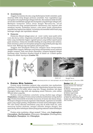 Buku Biologi (Kurikulum 2013) Kelas 10 SMA | PDF