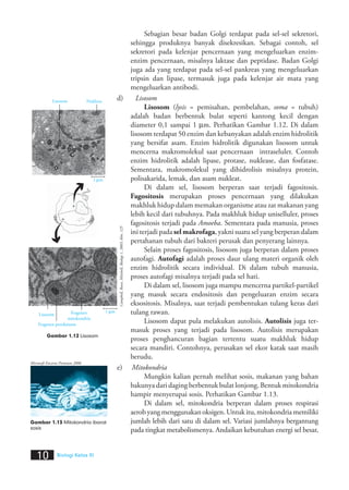 Biologi Kelas XI biologi siti_nur_rochmah | PDF
