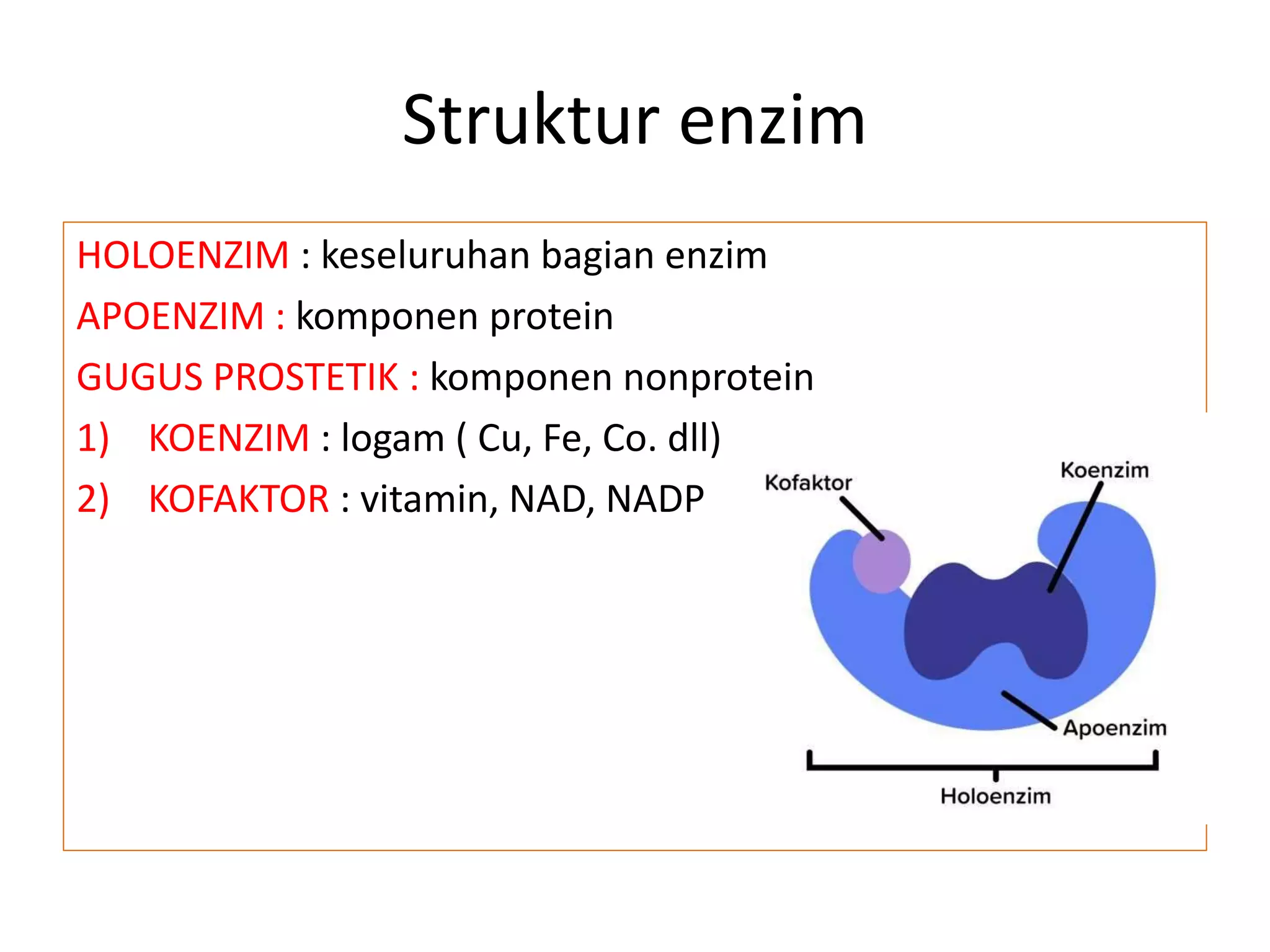 kelas 12 bab 2 enzim.pptx