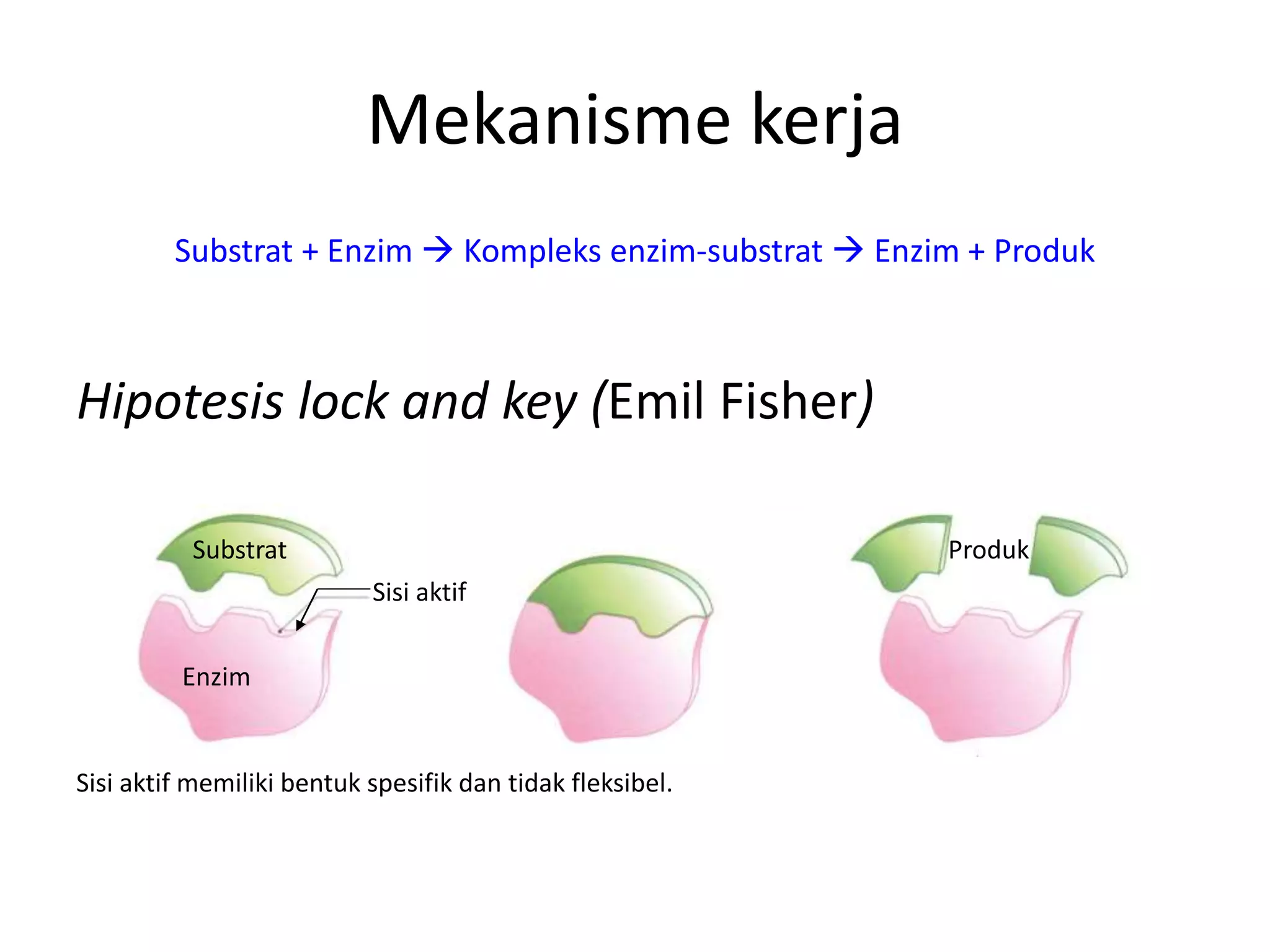 kelas 12 bab 2 enzim.pptx