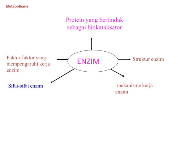 kelas 12 bab 2 enzim.pptx