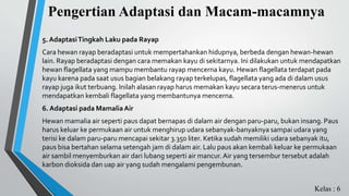 Tema 2 - Ciri Khusus Pada Tumbuhan dan Hewan.ppt