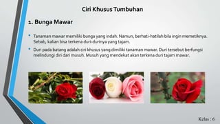 Tema 2 - Ciri Khusus Pada Tumbuhan dan Hewan.ppt