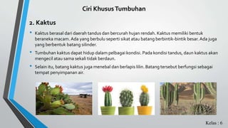 Tema 2 - Ciri Khusus Pada Tumbuhan dan Hewan.ppt