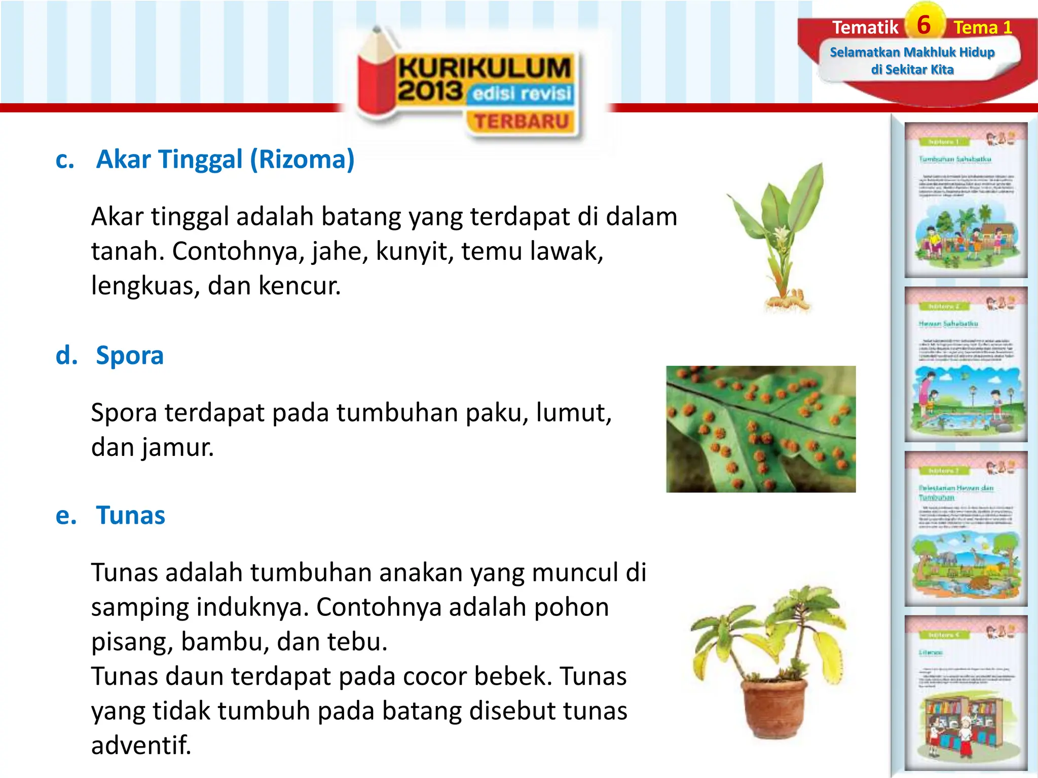 Kelas 6 Subtema 1.pptx