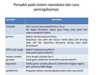 kelas 9 pembelahan sel .pptx