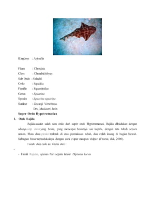 Kelas chondrichthyes | DOCX