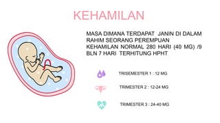 KELAS IBU HAMIL BARU.pptx