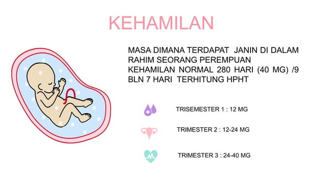 KELAS IBU HAMIL BARU.pptx