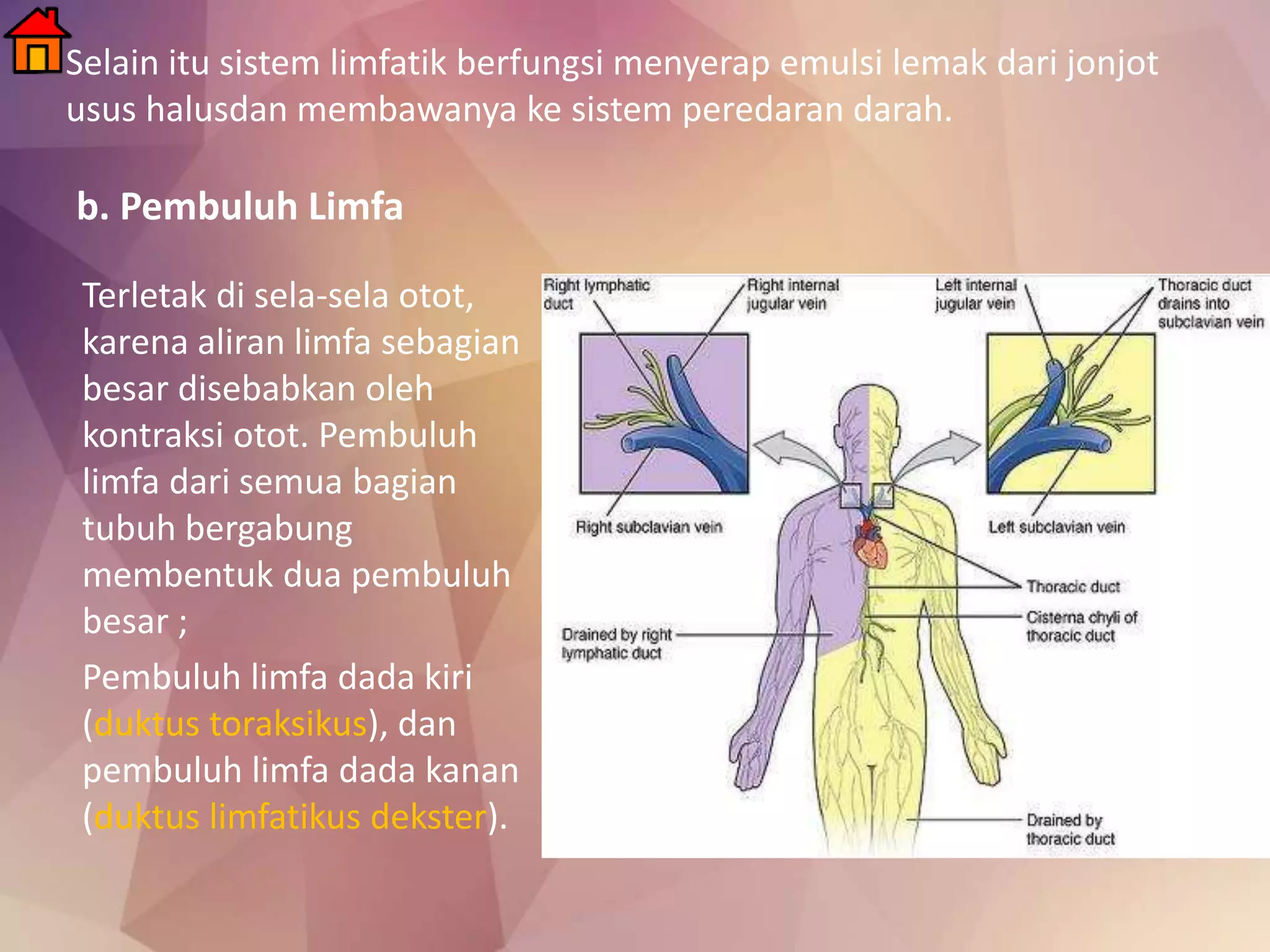 Kelas XII. sistem sirkulasi | PPTX