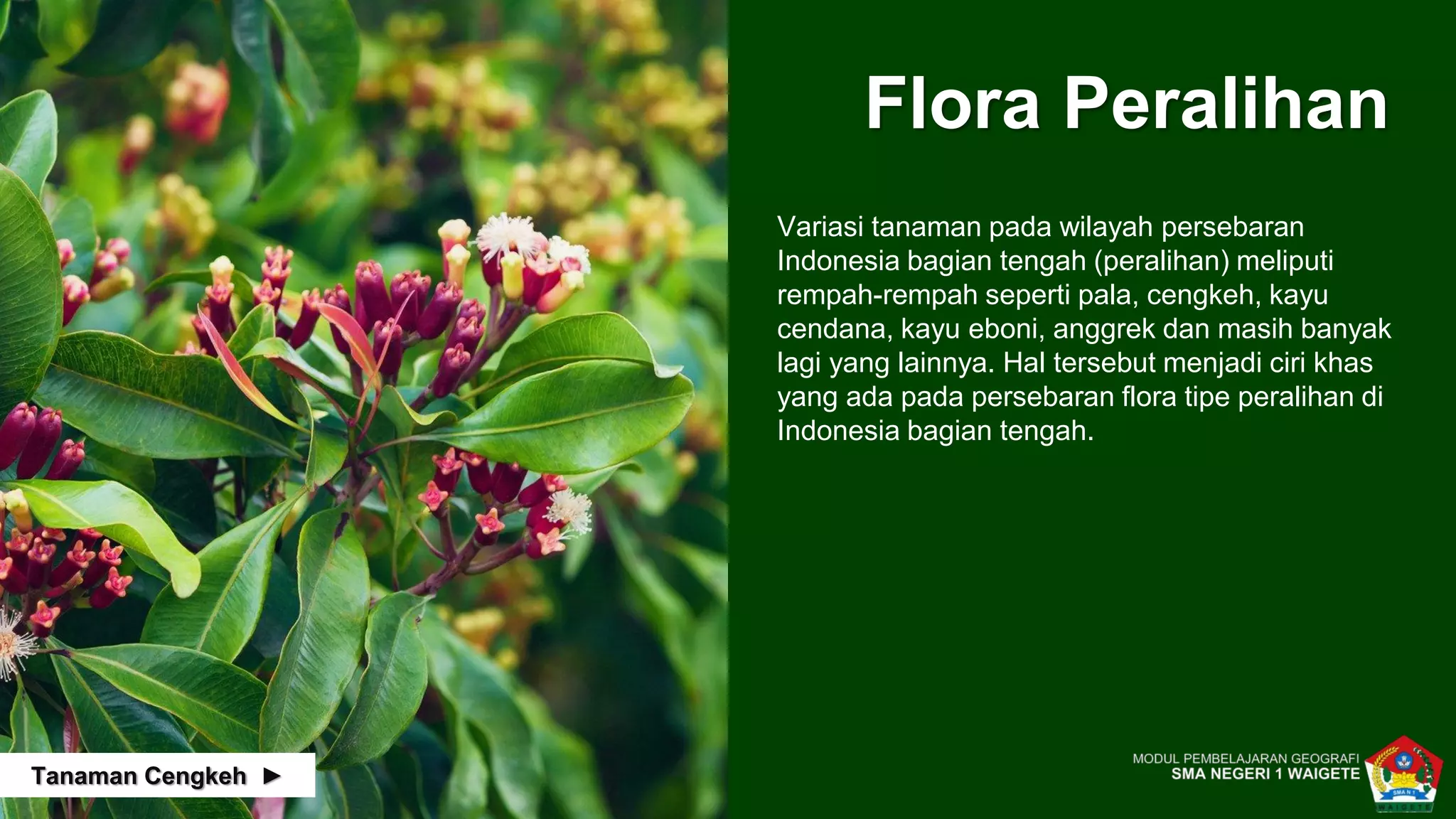 PDF - XI - MODUL GEOGRAFI - MATERI PEMBELAJARAN - KD 3.1 - FLORA DAN ...