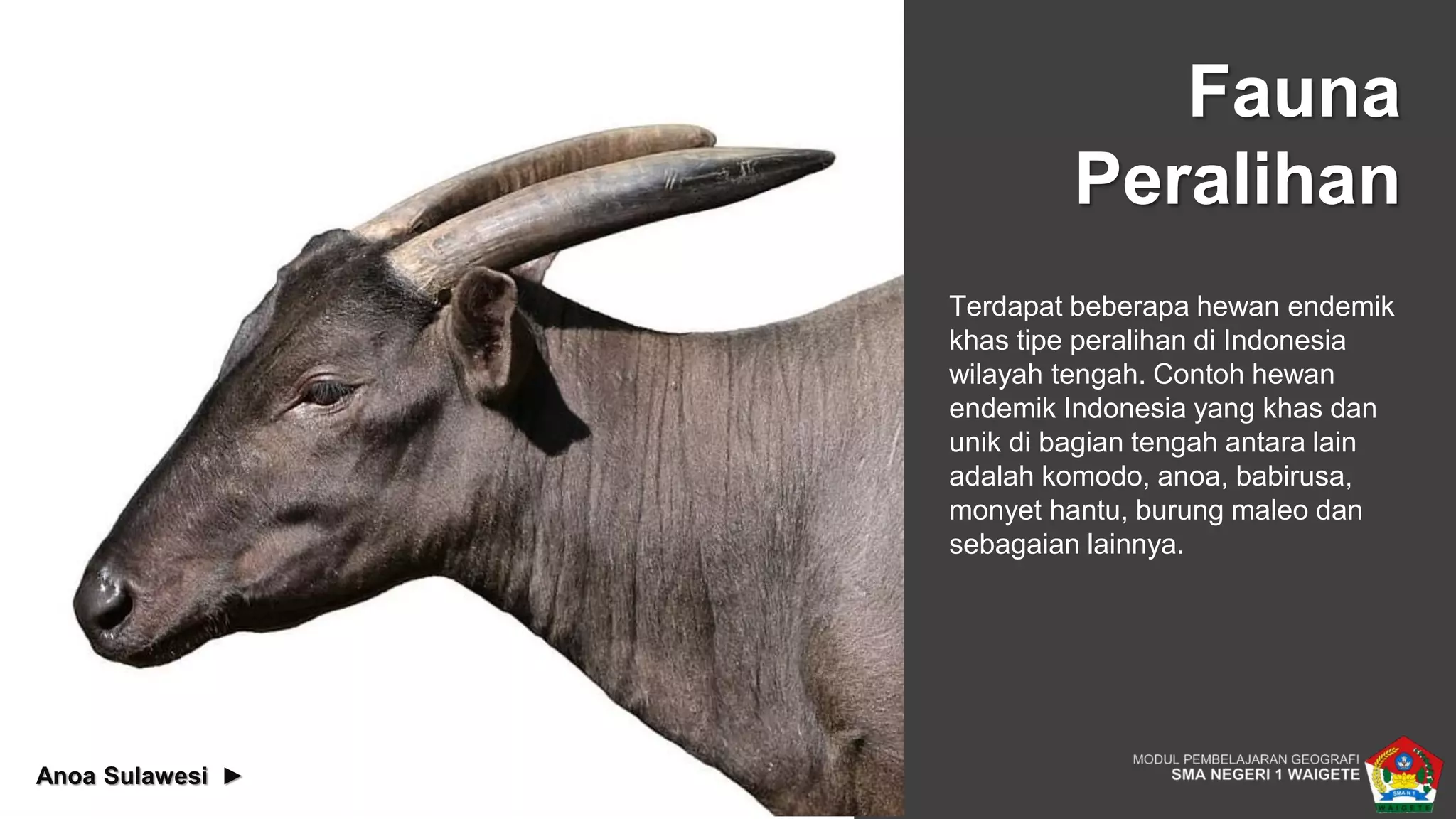 PDF - XI - MODUL GEOGRAFI - MATERI PEMBELAJARAN - KD 3.1 - FLORA DAN ...