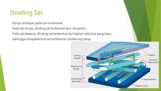 Materi Mata Pelajaran Sel kelas XI Sekolah Menengah Atas | PPTX