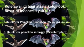KELELAWAR.ppt.pptx
