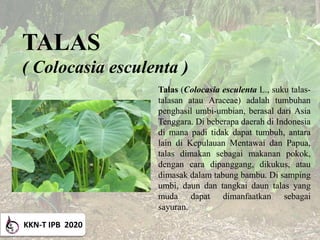 tata cara budidaya kelengkeng yang baik dan benar | PPTX