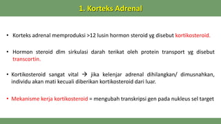 Kelenjar_Adrenal.pptx