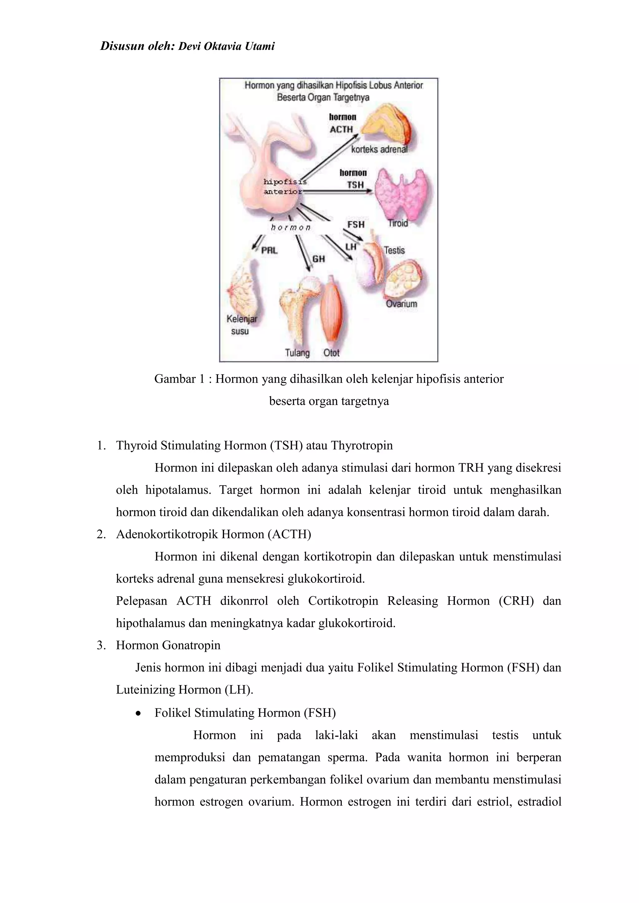 Kelenjar hipofisis anterior | DOCX