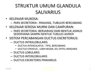 Kelenjar liur | PPTX | Endocrine and Metabolic Diseases | Diseases and ...