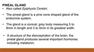 kelenjar pineal hormon endokrinologi.pptx