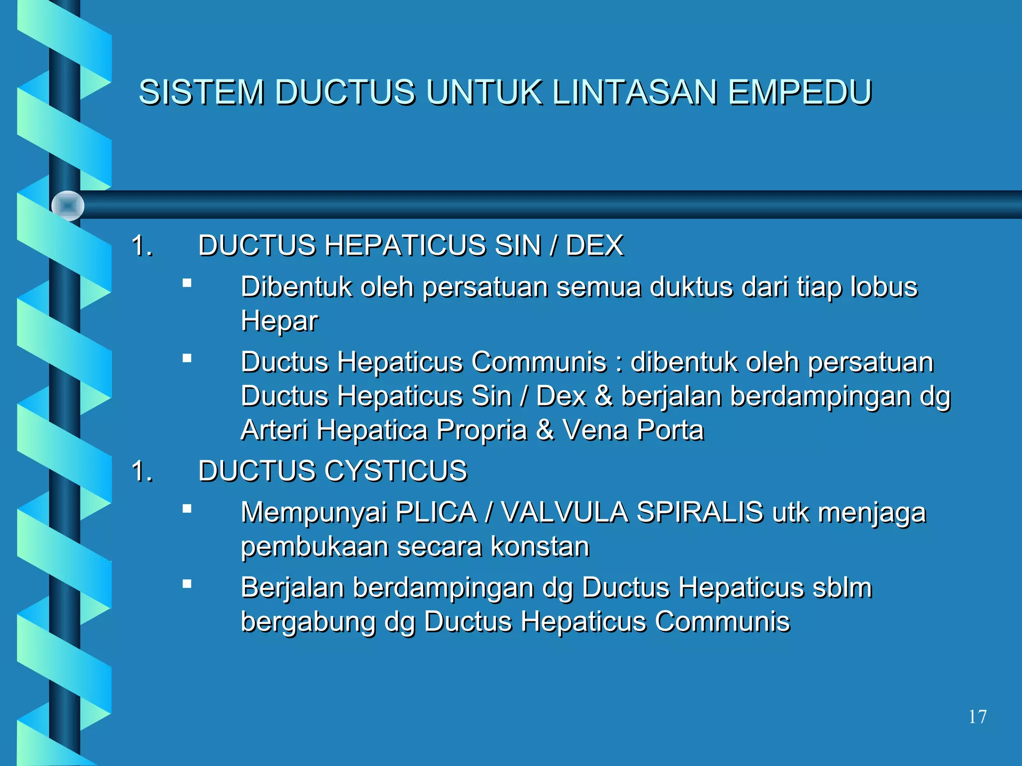 Kelenjar saliva, pangkreas, hepar dan kandung empedu | PPT