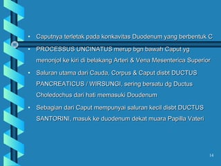 Kelenjar saliva, pangkreas, hepar dan kandung empedu | PPT